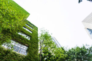 Understanding the Los Angeles Green Building Code | JDJ Group